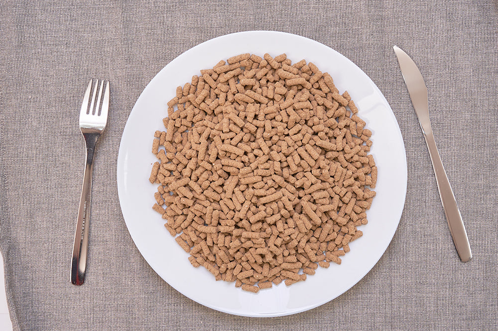 【定期購入】国産無添加ドッグフード ナチュラルー800g×4個（送料込） – RUITOMO公式オンラインショップ